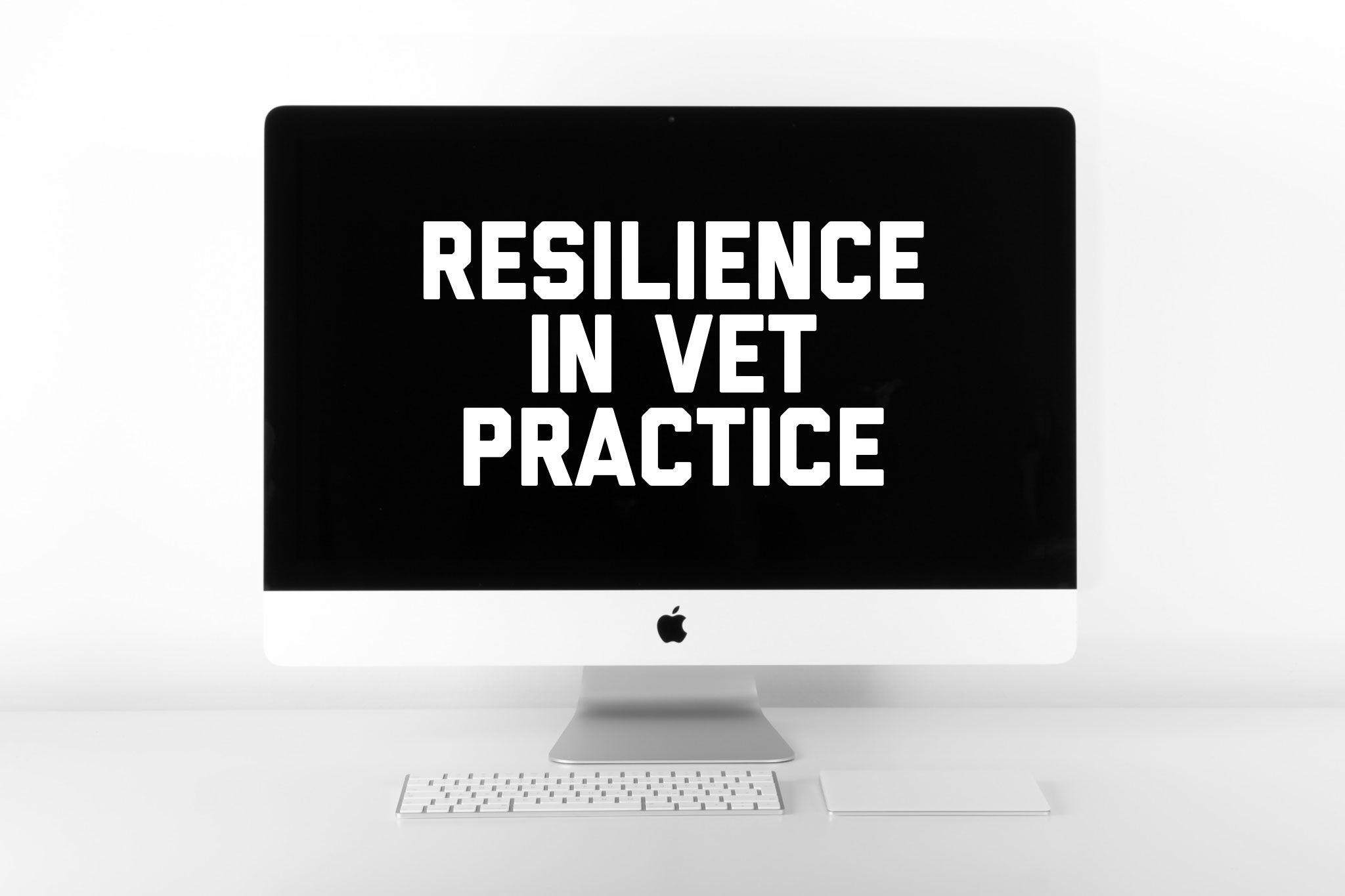 5 ways to boost workplace resilience in veterinary practice
